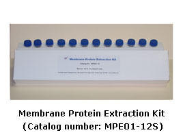 Membrane Protein Extraction Kit > BRIC